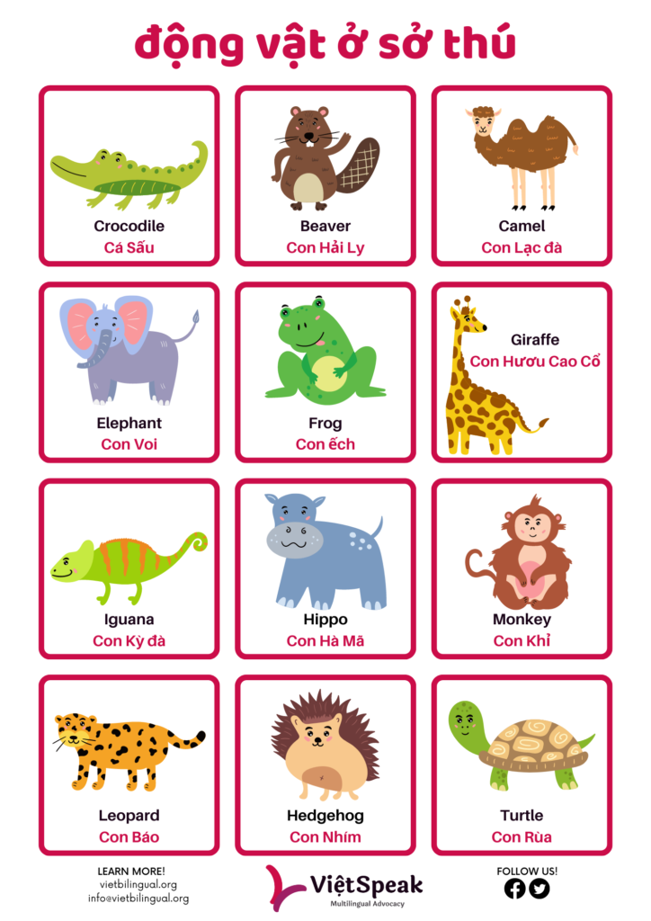 Printable resources